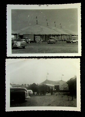Hunt's Circus 1958 Lot Of 2 Circus Photos Tents Elephants | eBay