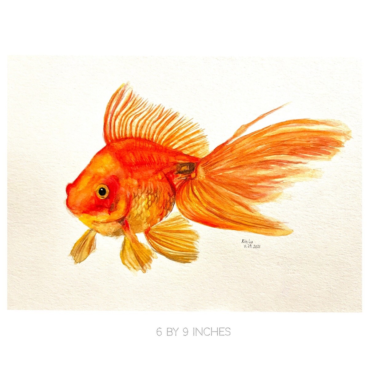 Goldfish Drawing Art