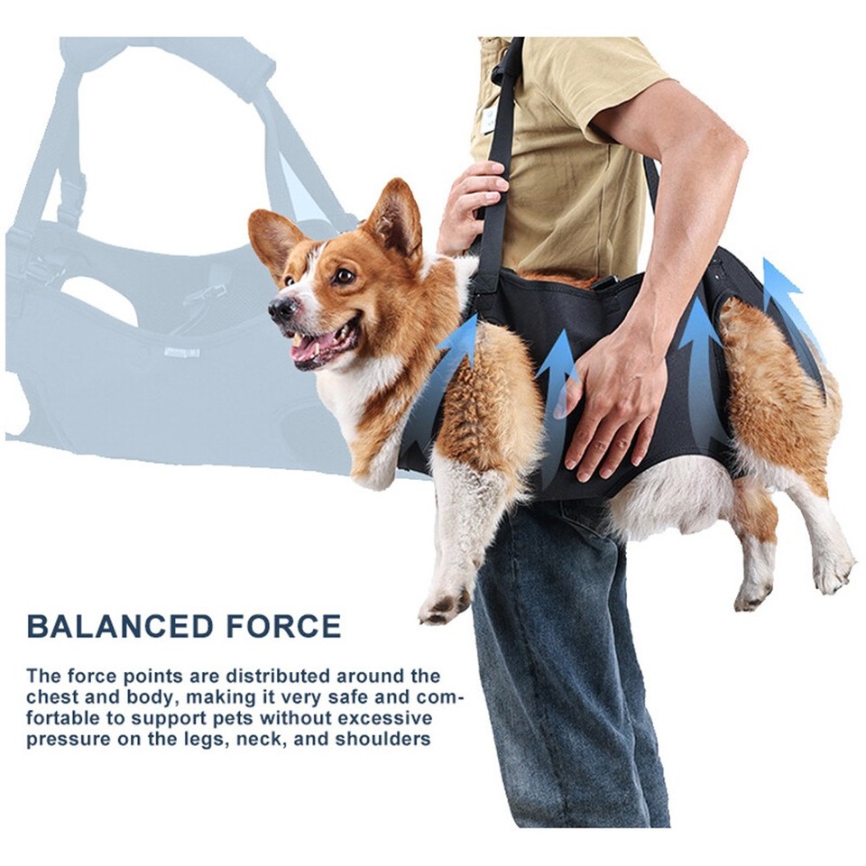 Adjustable Dog Lift Harness Dog Sling For Large Dog Leg Support Dog ...