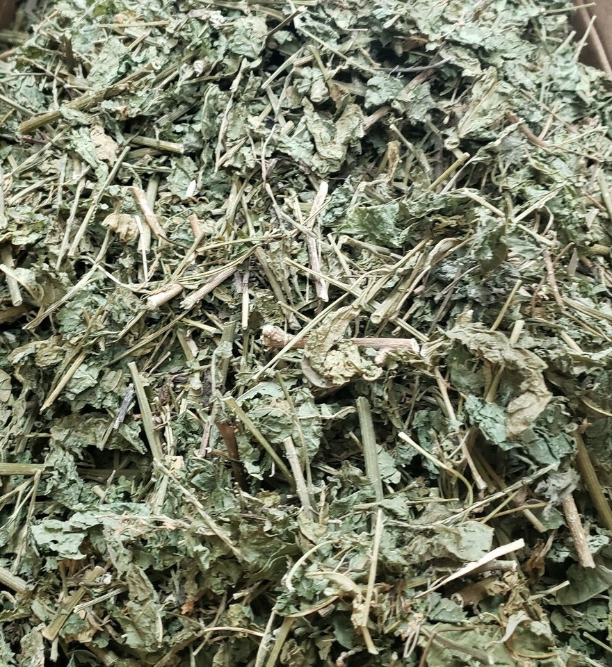 ANAMU 1 POUND / GUINEA HEN WEED (PETIVERIA ALLIACEA) 100 % NATURAL FROM ...