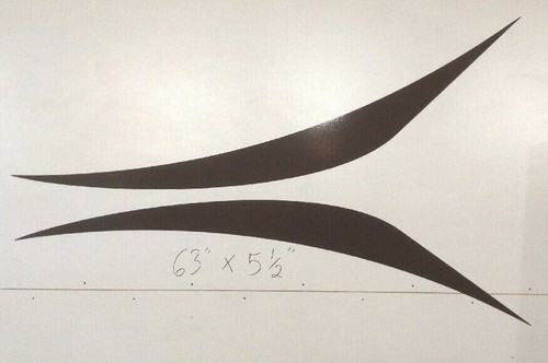 2016 COLEMAN LIGHT SERIES DC 1 RV DECALS 63"X5.5" RV CAMPER SWOOSH ...