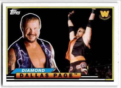 2018 Topps WWE Heritage Big Legends Diamond Dallas Page #BL-12 | eBay