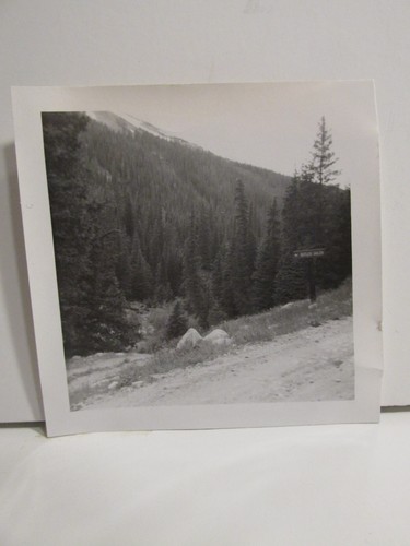 1966 VINTAGE FOUND PHOTOGRAPH OLD PHOTO B&W BUTLER GULCH JONES PASS ...