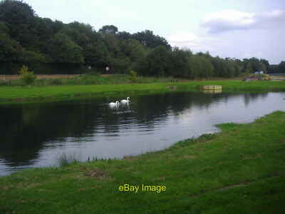 Photo 6x4 Pond at Kingfisher Farm, Abinger Hammer c2008 | eBay UK