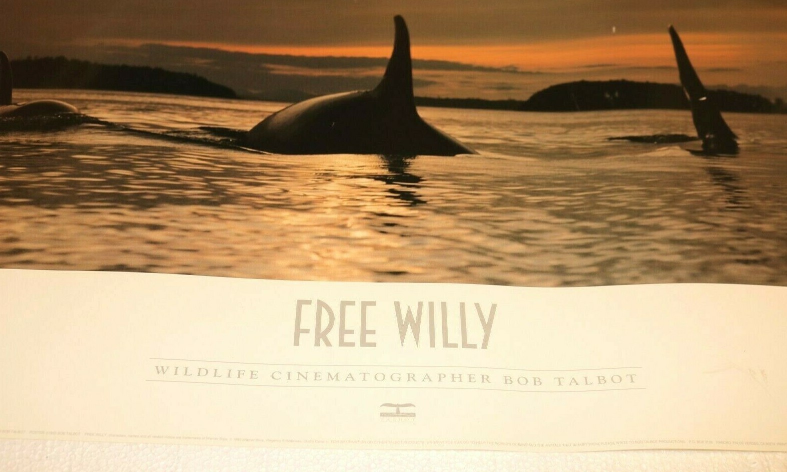 Free Willy 4 Poster