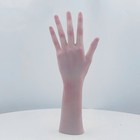 Silicone Female Right Hand Model Bendable Model Realistic Hand for ...