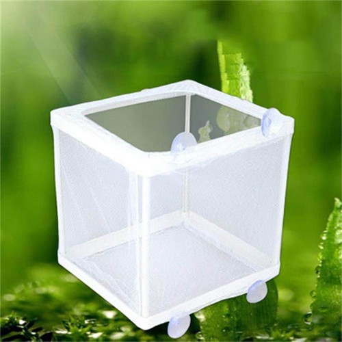 Fish Tank Aquarium Mesh Incubator Breeder Net Fish Baby Gauze Trap Box ...