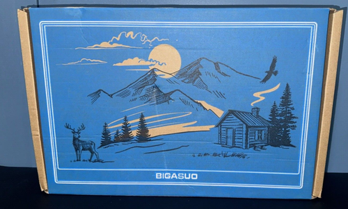 BIGASUO Portable Monitor, 15.6'' FHD 1080P USB-C HDMI Travel Laptop ...