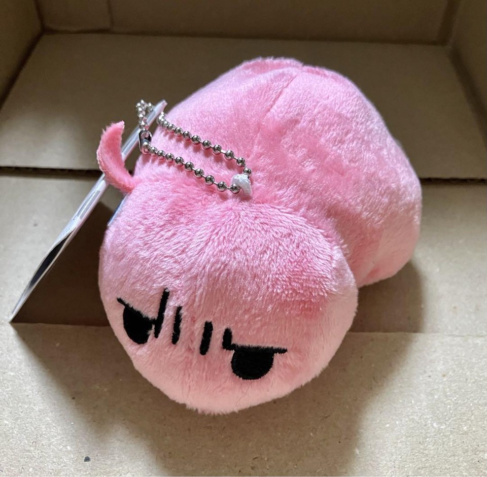 Tsuchinoko Bocchi Plush Toy doll mascot Hitori Gotoh Bocchi the Rock ...