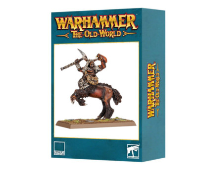 Warhammer TOW Beastman Brayherds Centigor Lord NEW in BOX | eBay