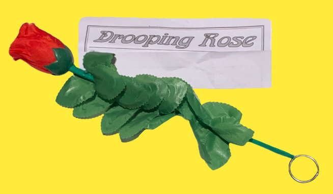 Drooping Rose Drawing