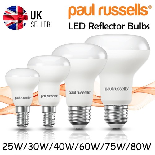 R39 R50 R63 R80 LED Reflector Bulb Energy Saving Spotlight Warm Cool ...