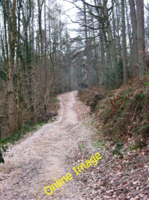Photo 6x4 Footpath on the edge of Eymore Wood, near Trimpley Holbeache ...