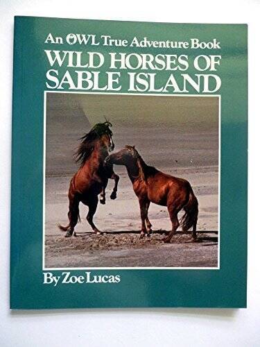 Wild Horses of Sable Island (An Owl True Adventure Book) - Paperback ...