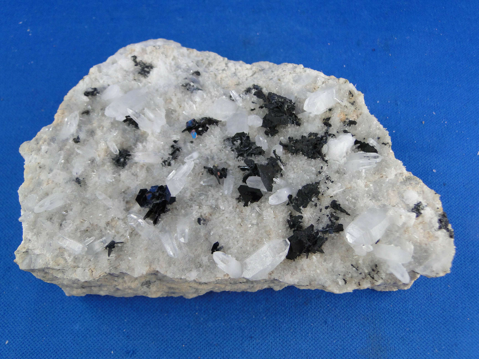 Outstanding Covellite on Quartz specimen from Leonard Mine - USA | eBay
