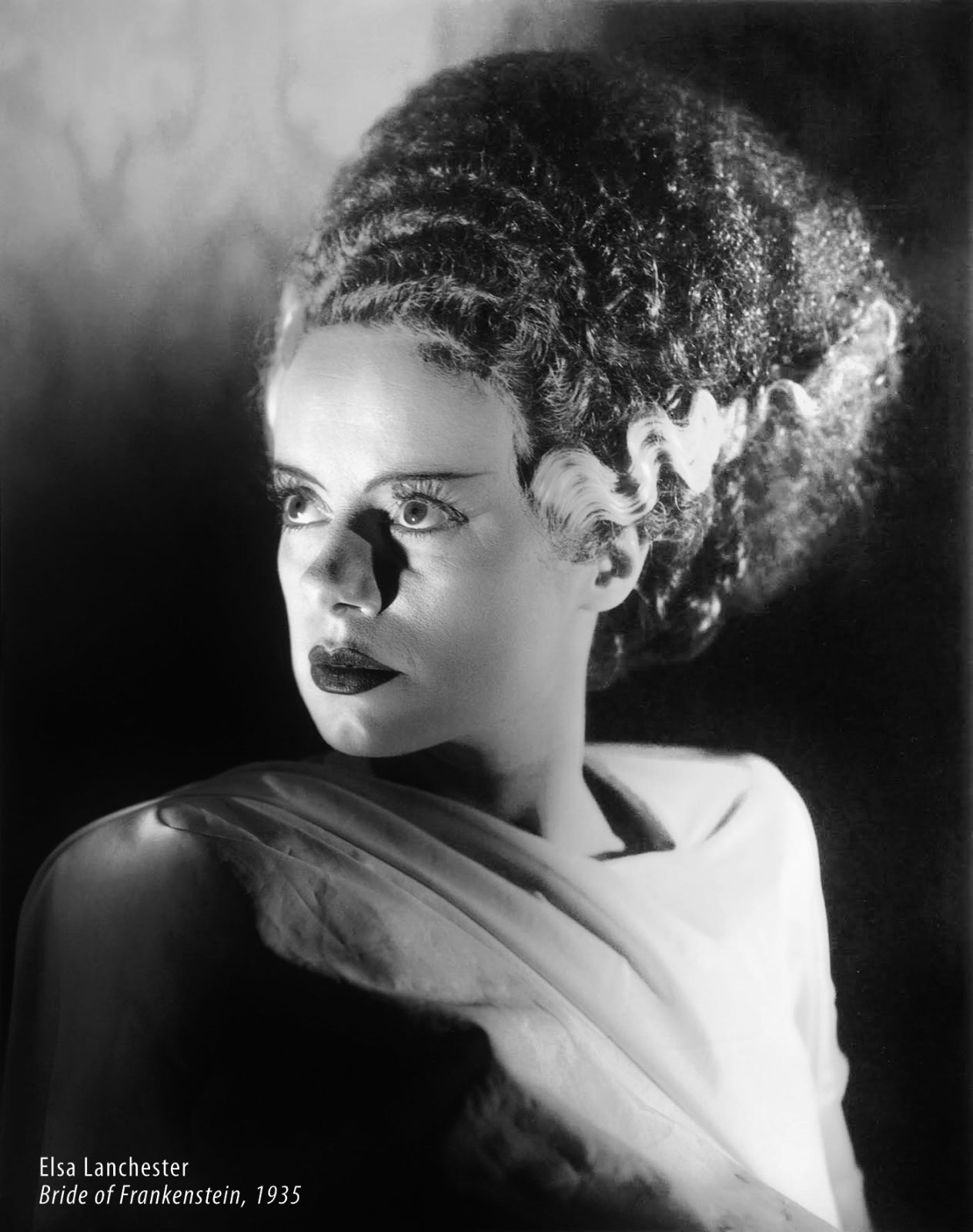 Bride Of Frankenstein Portrait