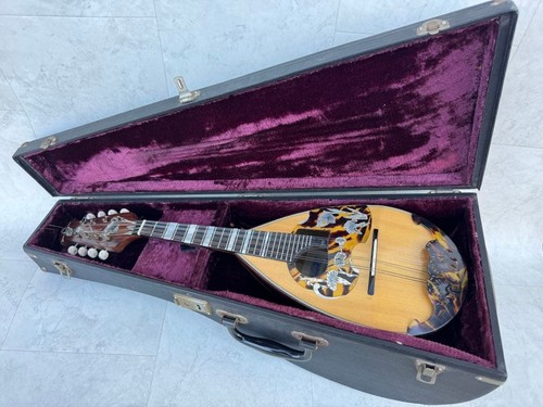 Raffaele Calace 1962 Mandolin Rare | eBay