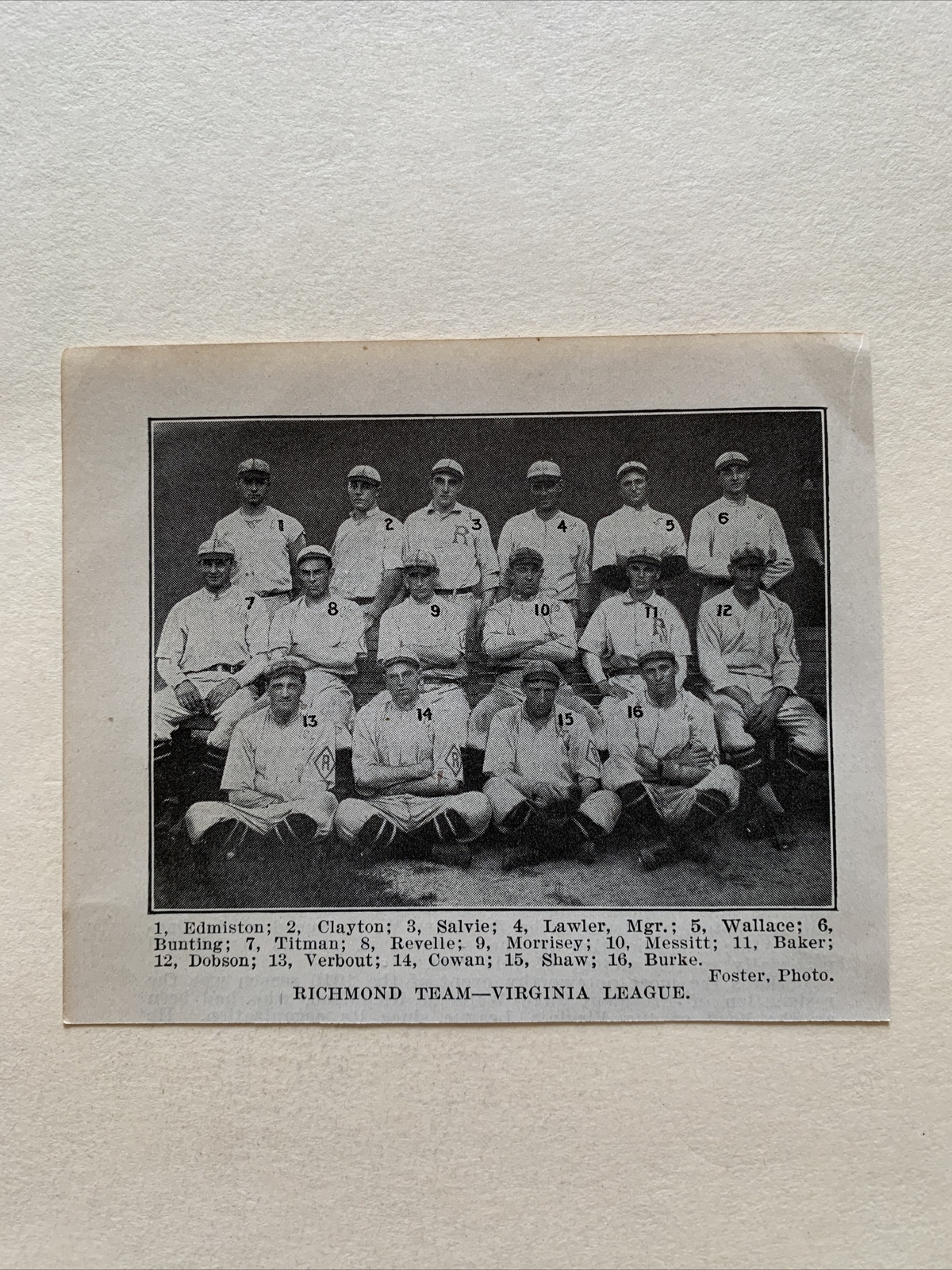 Richmond Colts Virginia Tom Messitt Gus Salve 1910 Baseball Team ...