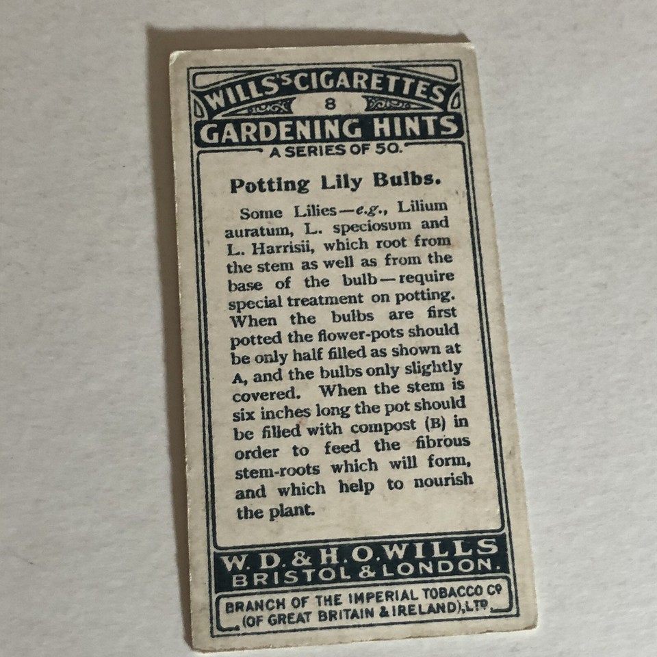 Potting Lily Bulbs WD & HO Wills Vintage Cigarette Card #8 | eBay