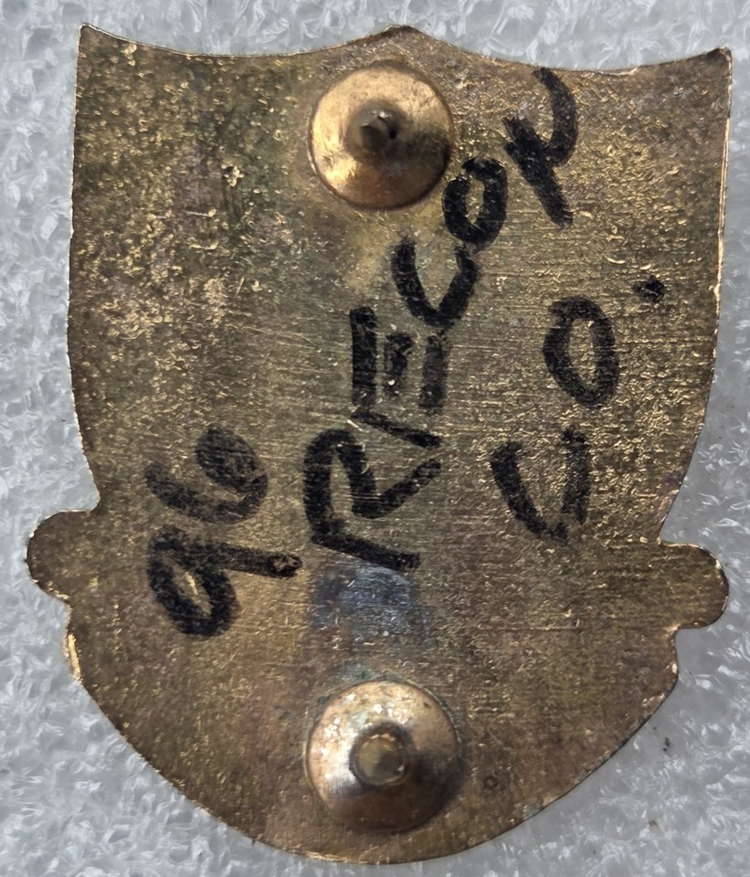 96th Recon reconnaissance Company Di Dui Unit Crest Insignia pin | eBay