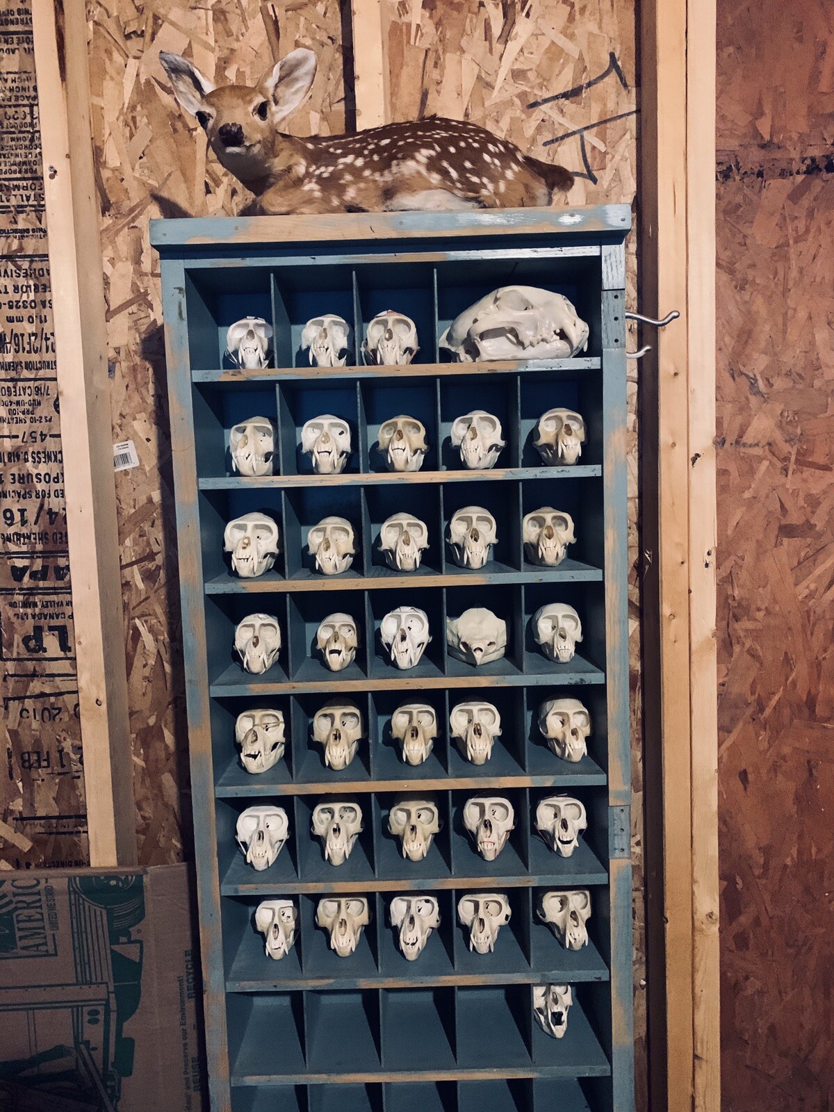 Vintage Official Post Office Mail Sorter Antique 1963 | eBay