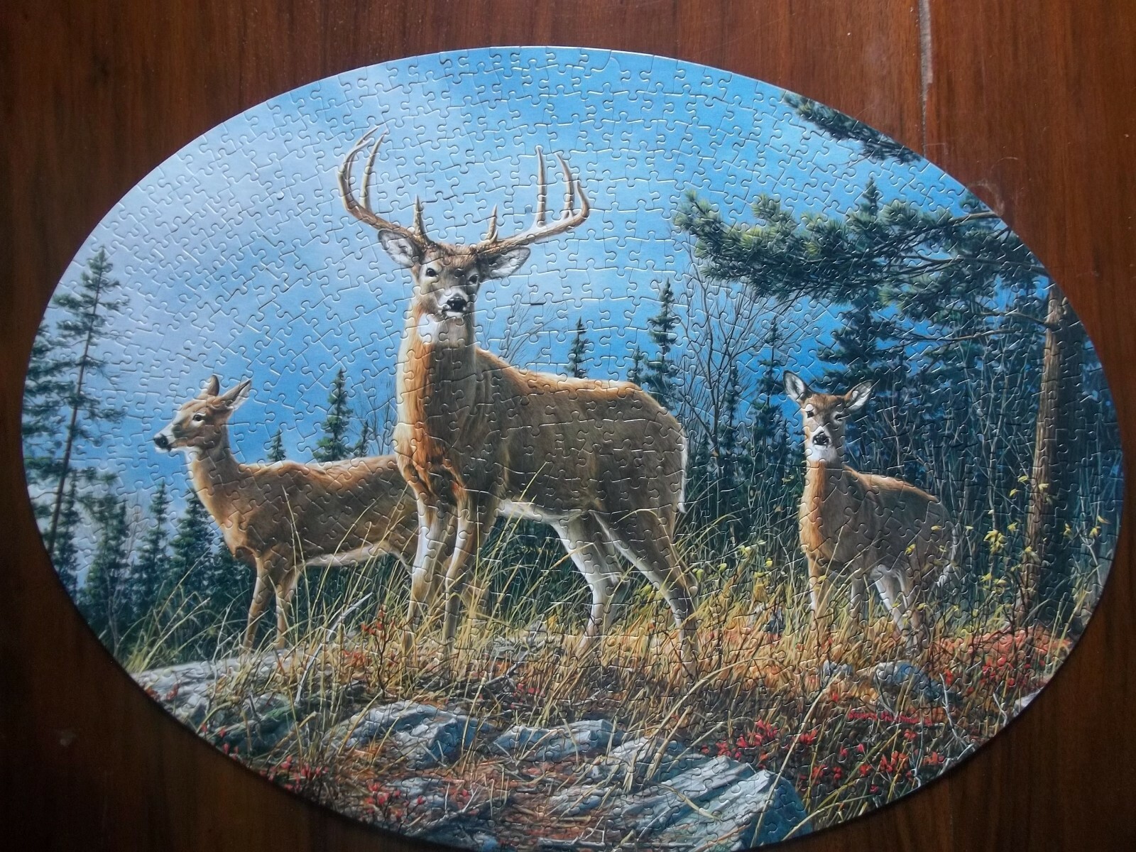 Deer Puzzles