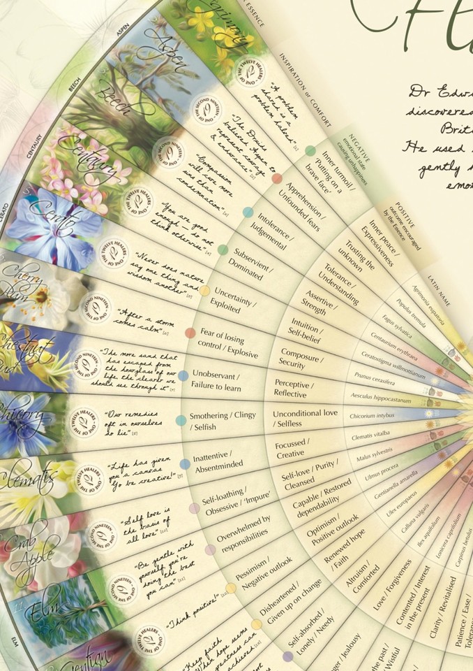 Bach Flower Poster Wall Chart for the 38 Essences Remedies Large A1 ...