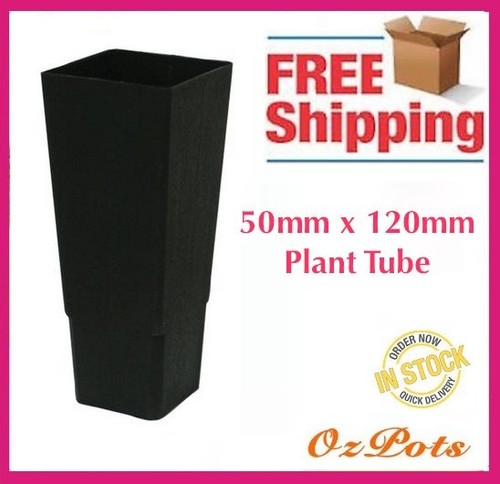 50mm x 30pcs Forestry Square Plant Tube Pot - Propagation, Seedling ...