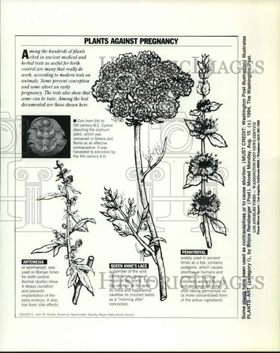 1994 Press Photo Plants used as contraceptives or to cause abortions ...
