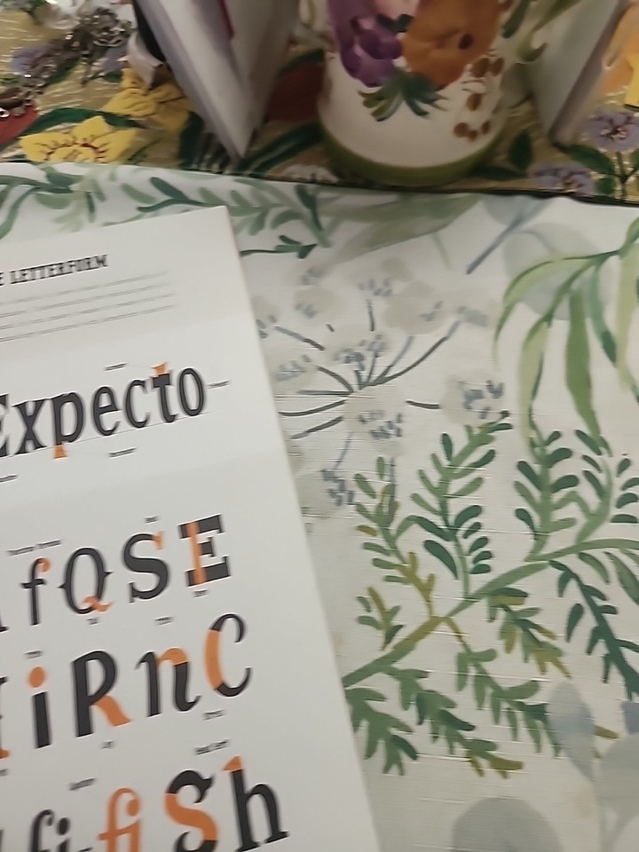 Harry Potter Hand Lettering Book by Jay Roeder English Paperback Art ...