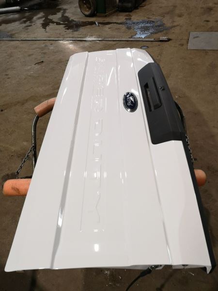 F250SD 2020 Trunk/Hatch/Tailgate 278114 | eBay