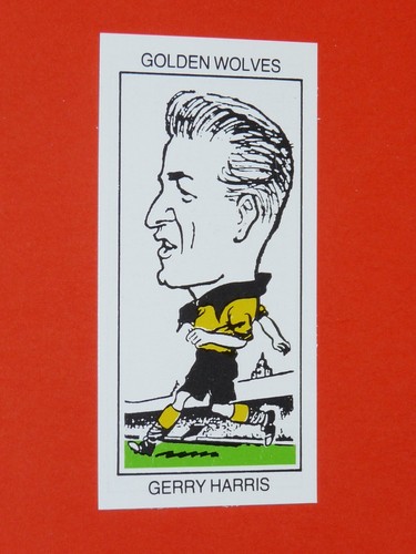 WEST MIDLANDS CARD FOOTBALL 1989 GOLDEN WOLVES WOLVERHAMPTON #14 GERRY ...
