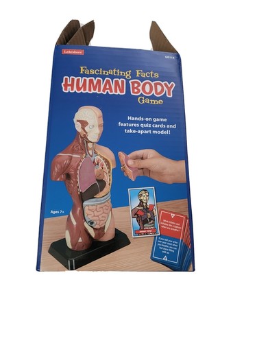 Lakeshore Fascinating Facts Human Body Game Anatomy & Model & Quiz ...