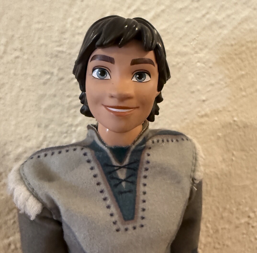 Disney Hasbro Frozen 2 Forest Expedition Doll Ryder Character Boy Doll ...