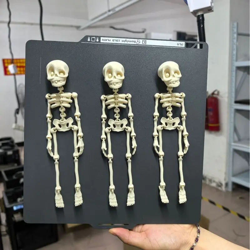 3D Printed Magnetic Human Skeleton Refrigerator Sticker Movable ...
