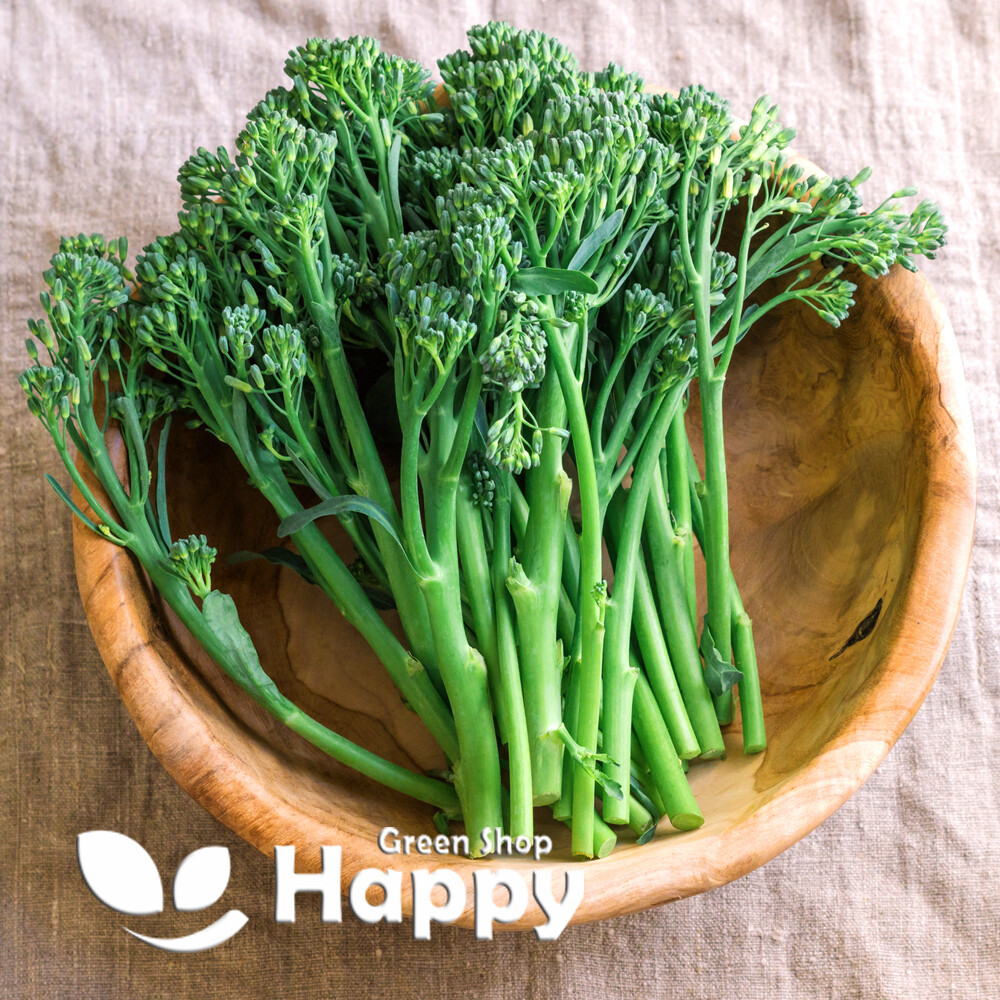 VEGETABLE WINTER BROCCOLETTO CENTOVENTINO - 800 SEEEDS WILD BROCCOLI ...