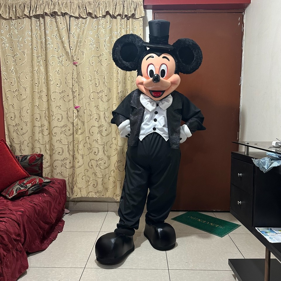 Mickey Mouse 2 Fiberglass head mascot costume party Event botarga ...