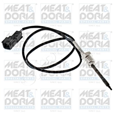 Exhaust Gas Temperature Sensor 12V For Volvo FMX 21164414 | eBay