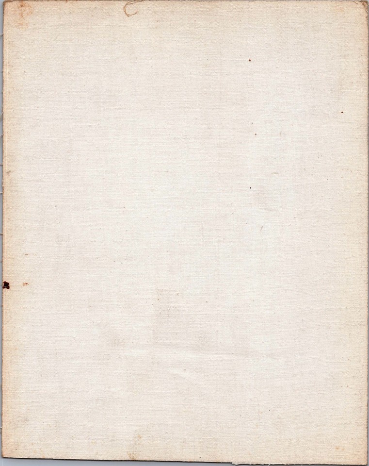 WW1 Photo of Operating Room Nurse Beside Surgical Table and Overhead ...