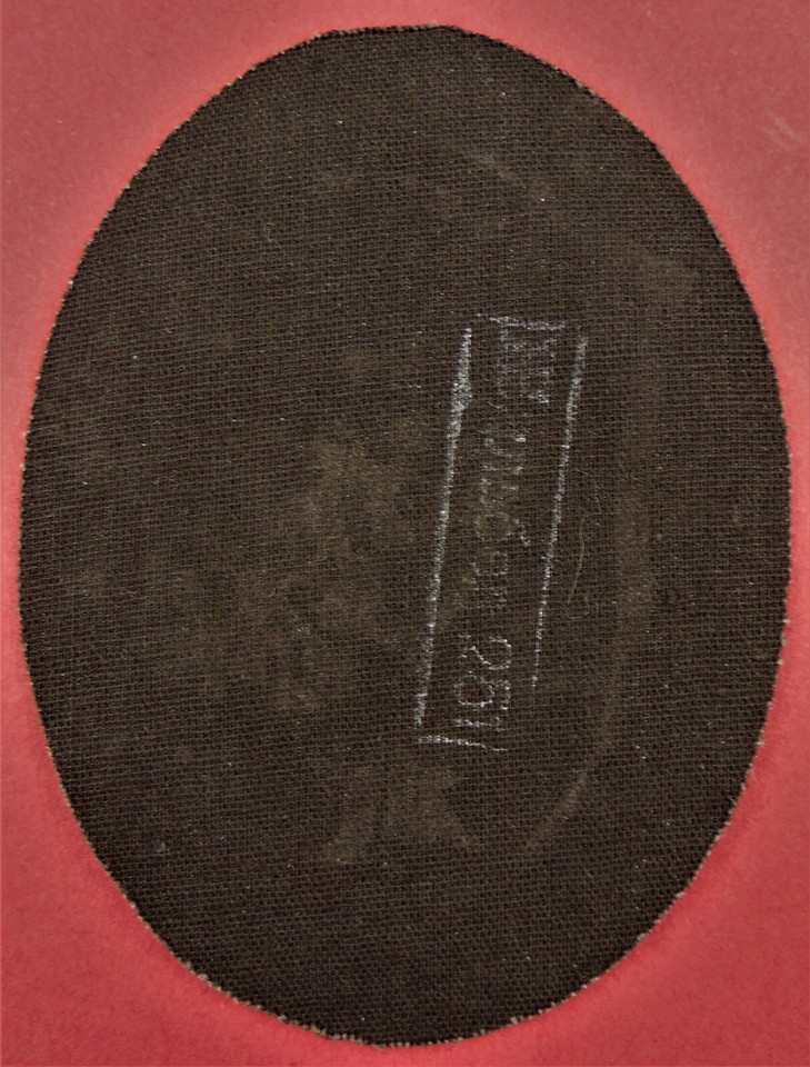 Russian MVD OMON Spetsnaz Moscow Unit Sleeve Patch Insignia RARE ...