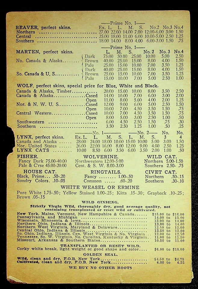 Benjamin Dorman 1918 Fur Price List W. 24th St. New York Ginseng & Raw ...