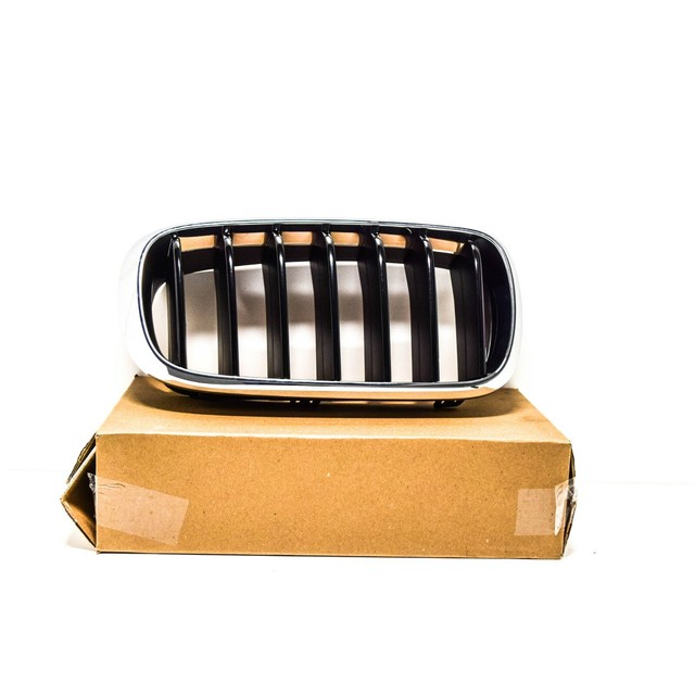 BMW X6 F16 vorderer Kühler rechts Gitter 51137373690 7373690 2015 NEU ...