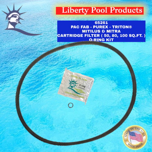 Pac-Fab/Purex/Triton/MyTilus Cartridge Filters Replacement O-Ring Kit ...