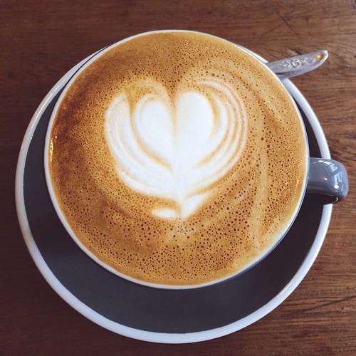 WP Decaf Mocha JAVA Ethiopian and Java Blend Fresh Roasted Coffee Beans | eBay