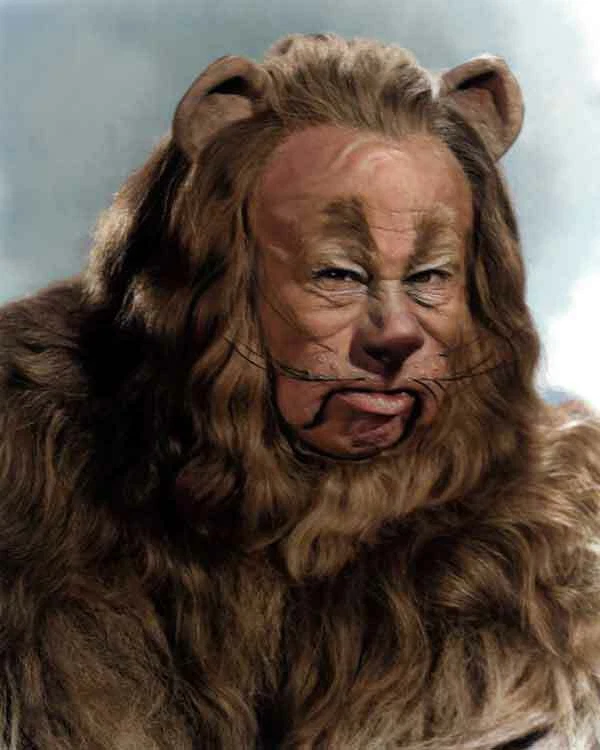 Wizard Of Oz Cowardly Lion Makeup