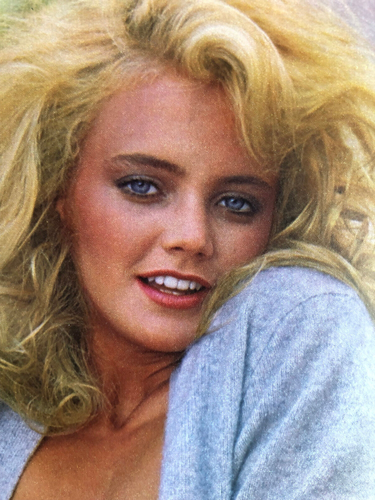 Vintage 1984 Miss September Kimberly Evenson Playboy Centerfold / Pictorial only | eBay