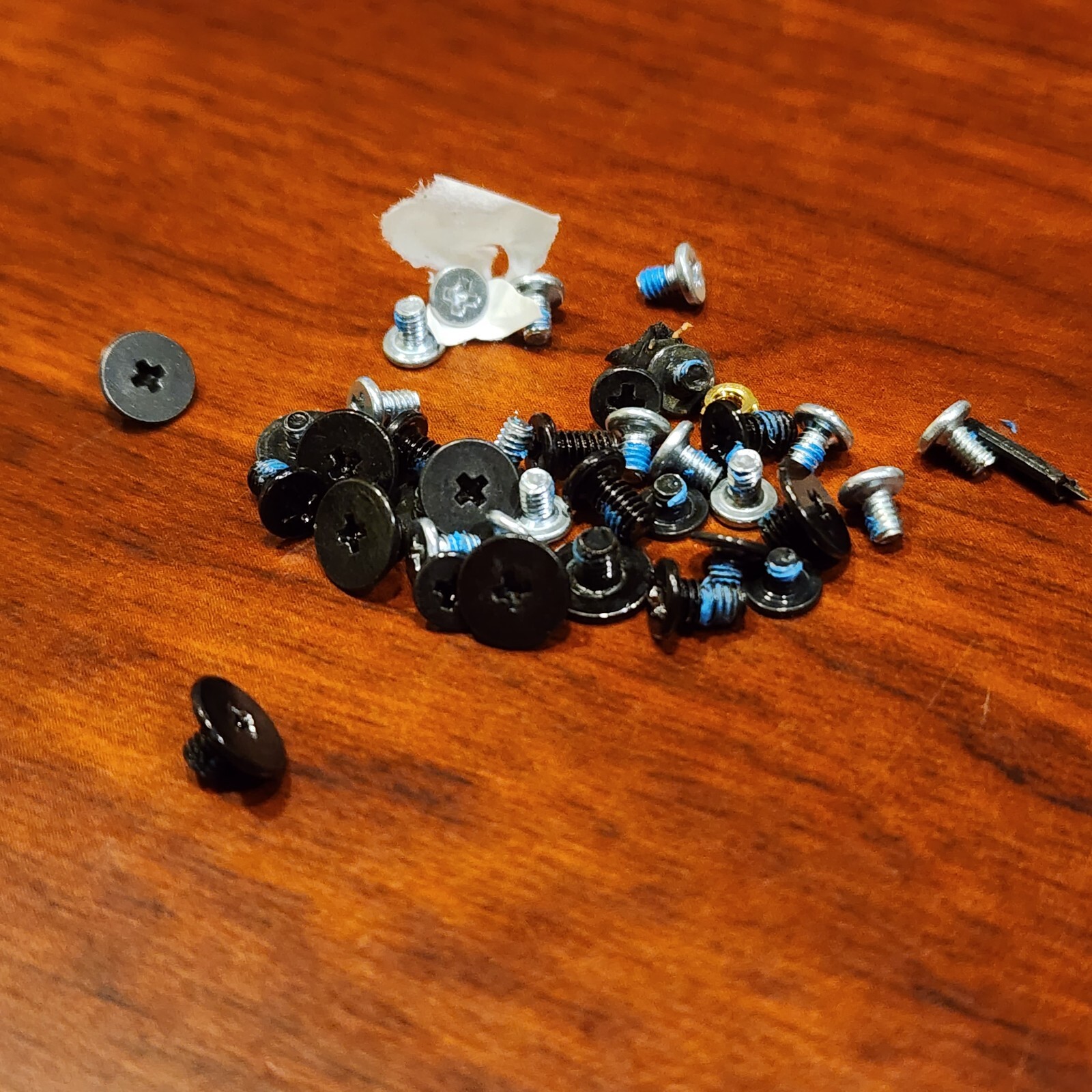 HP 15-dy1023dx 15.6" Genuine Screw Set Screws for Repair ScrewSet 4065 ...