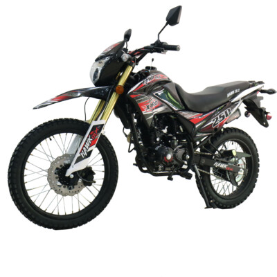 X-PRO Hawk DLX 250 EFI Motorcycle Gas Powered Enduro Dirt Bike Sport ...
