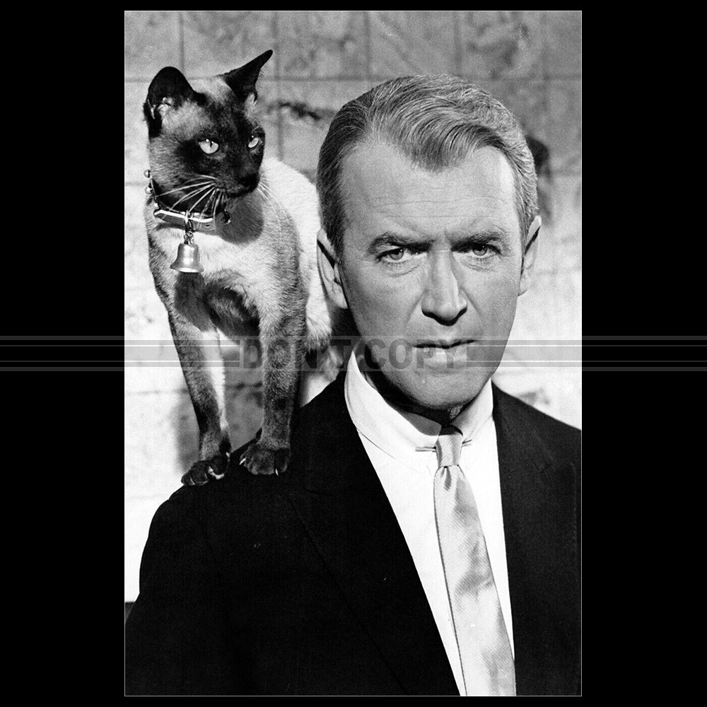 Photo F.016577 JAMES STEWART & PYEWACKET SIAMESE CAT BELL, BOOK AND ...