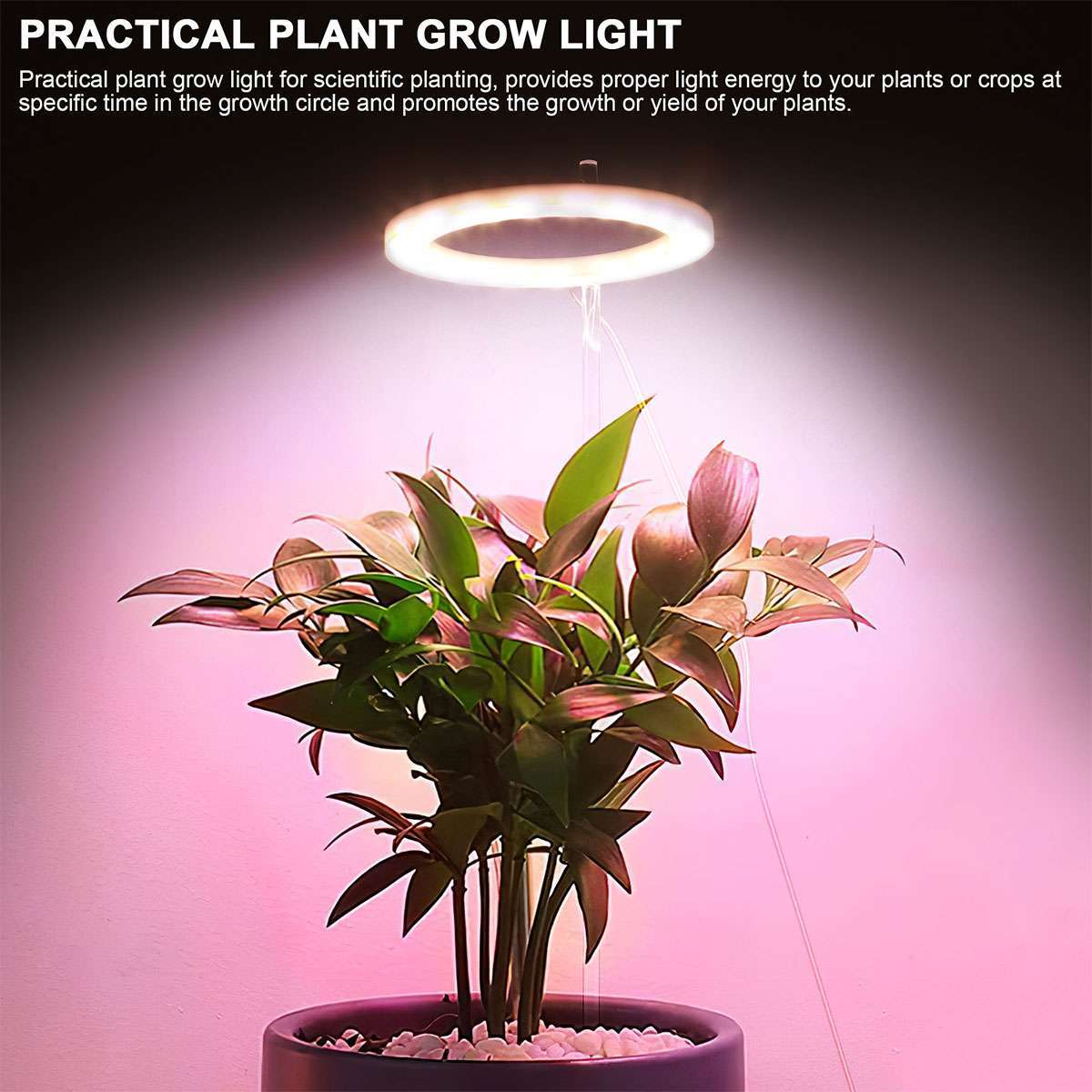 LED Grow Light Plant Growing Dimmable Indoor Plants Halo Ring Lamp | eBay